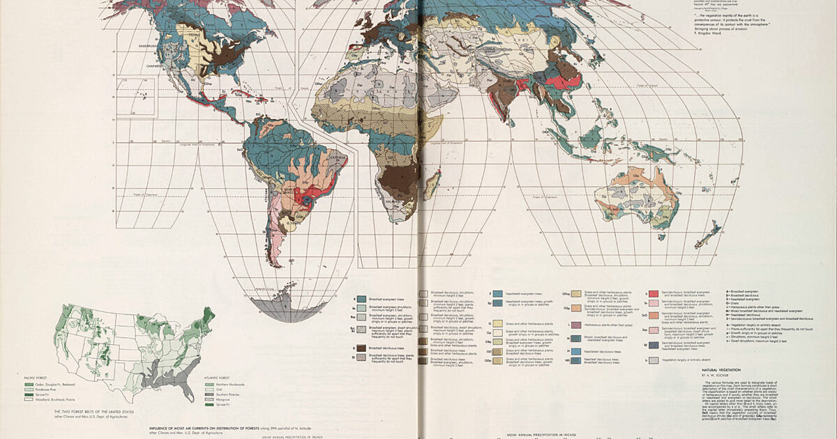 Declaration of love to an atlas | read now → brandbook